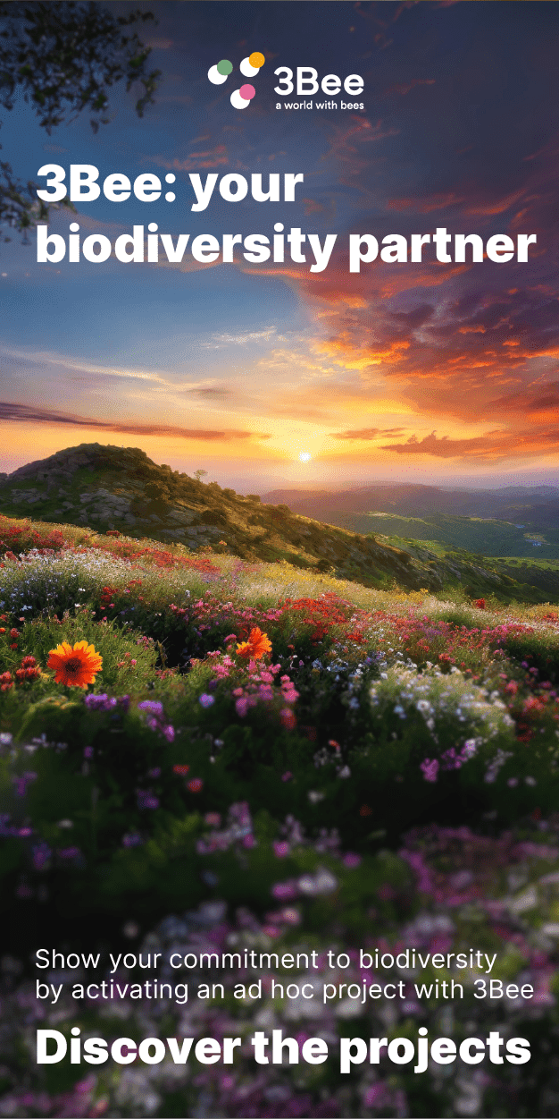 The three levels of biodiversity