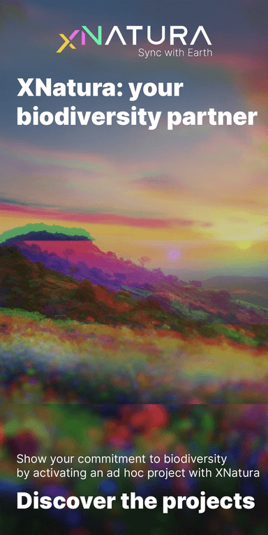 Rare moth found in UK after 50 years of being ‘extinct’