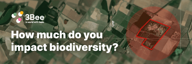 Beaches: types, formation, conservation